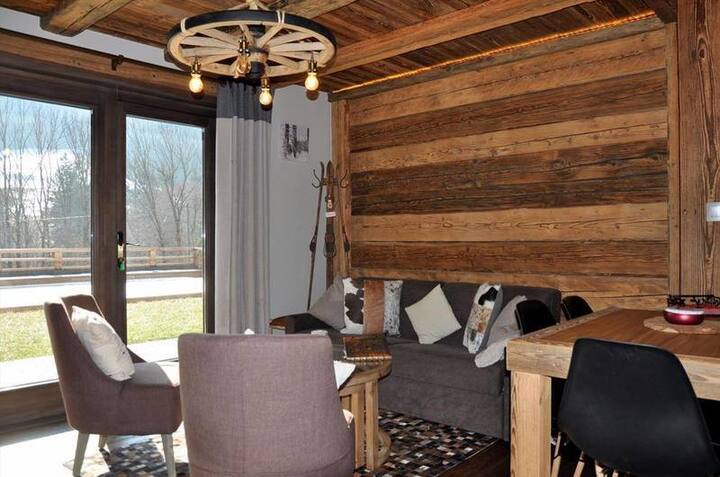 Appartement Indépendant Dans Chalet - Abondance