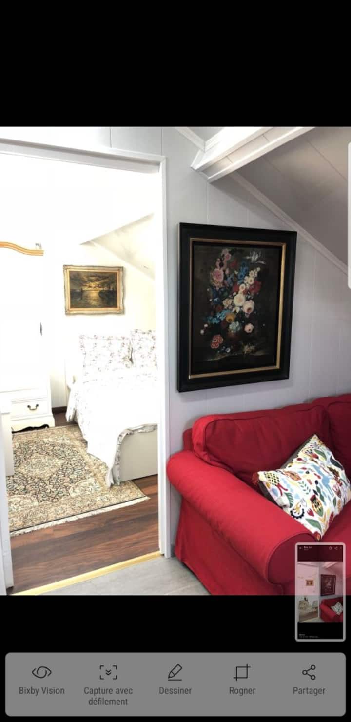 Appartement Moderne Et Lumineux à 10mn De Paris - Saint-Denis