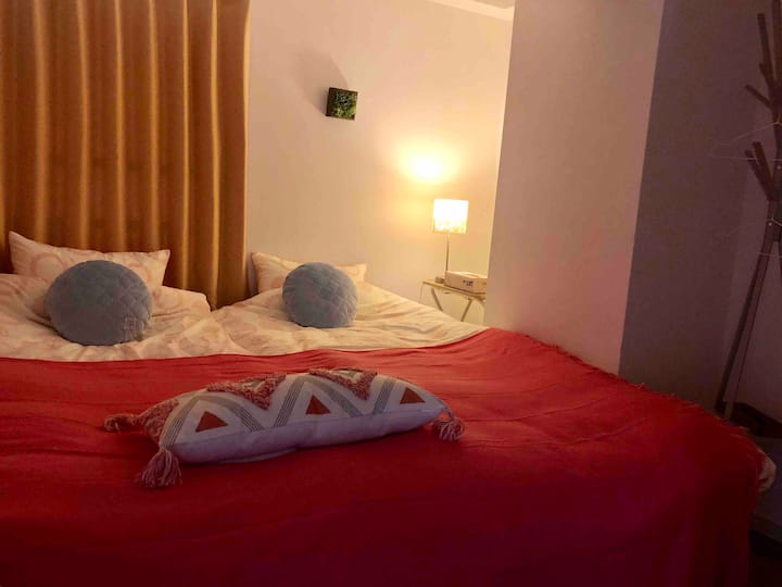 Nn61-1｜新宿、上野、築地市場、六本木直通｜秋葉原、浅草寺徒歩圏｜駅から8分 - Akihabara