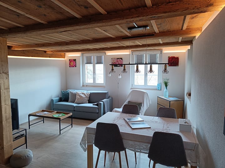 Schöne Land - Stadt 
Bauernhaus 
Wohnung Bei Bern - Bern