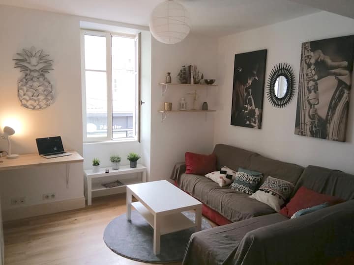 Beau Studio Dans L'hyper Centre De Biarritz - Biarritz