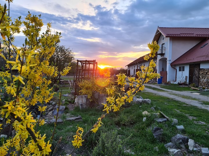 Rustic Apartment In Old Castle With Park - Gherla