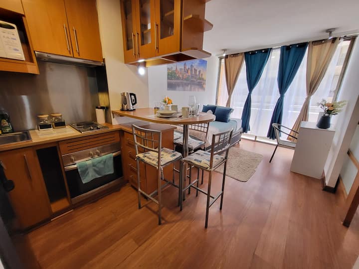 Suite Australia Con Calefacción  Y Balcon - Providencia, Chile