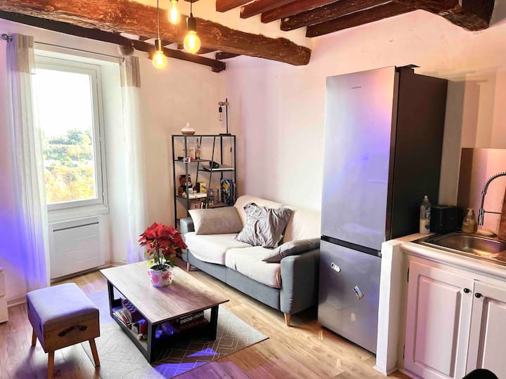 Duplex Village St Paul De Vence - Saint Paul de Vence