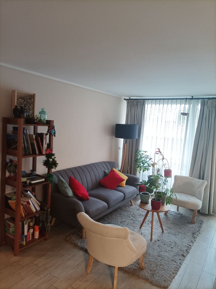 Hermoso Departamento Ubicado En ÑUñoa 2d 2b - Providencia