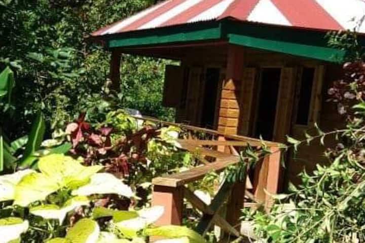 Berkey's Jungle Paradise - Dominica