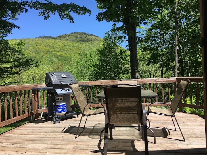 Top 10 Airbnb Vacation Rentals In Estrie, Canada | Trip101