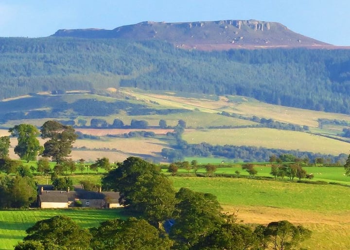 Lee View Cosy Detached Cottage In Rural Location - Northumberland