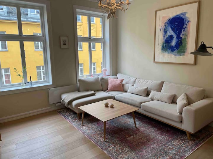 Romslig Og Klassisk Leilighet På St. Hanshaugen - Oslo