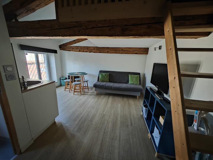 Ravissant Studio Hyper Centre - Castres