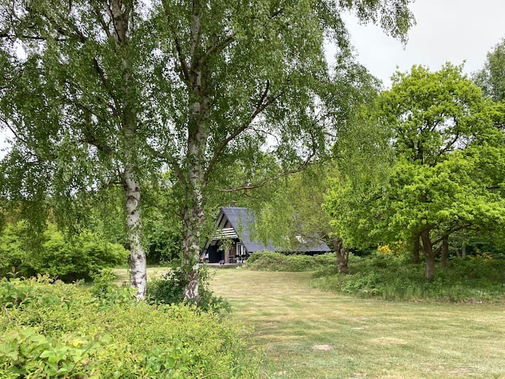 Udsigt Til Fjorden På 5700 Kvm Grund Ved Fredskov - Denmark