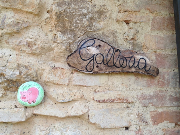 Galleria Bilocale Agriturismo La Miniera (Piscina) - Gavorrano
