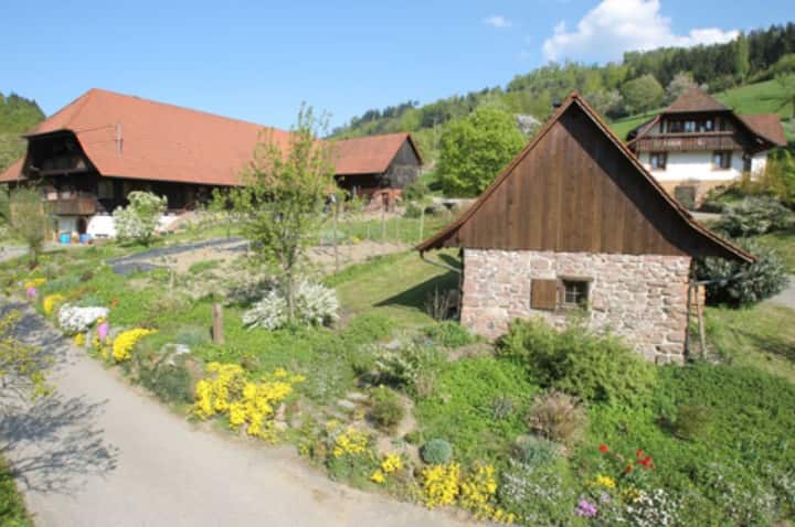 Ferienhof Göppert - Moosblick - Gengenbach