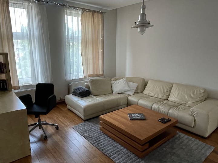 Przestronny Apartament W Centrum Z Parkingiem - Katowice