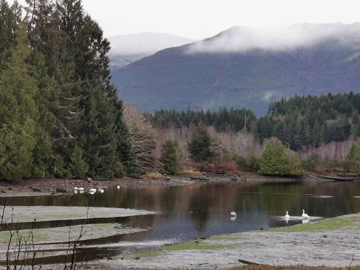 Spacious West Coast Getaway @ Swan View - Ucluelet