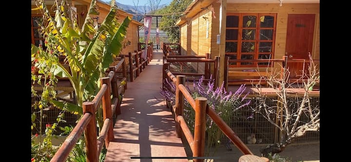 Parcela Los Nonos - Vicuña