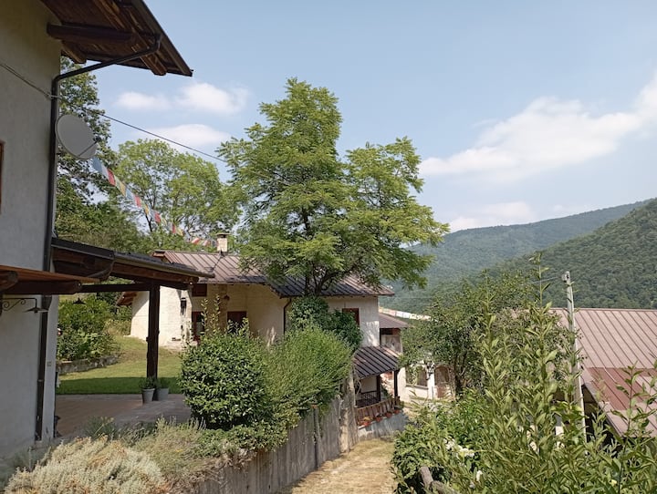 Casa 2 Piani Immersa Nel Bosco - Limone Piemonte