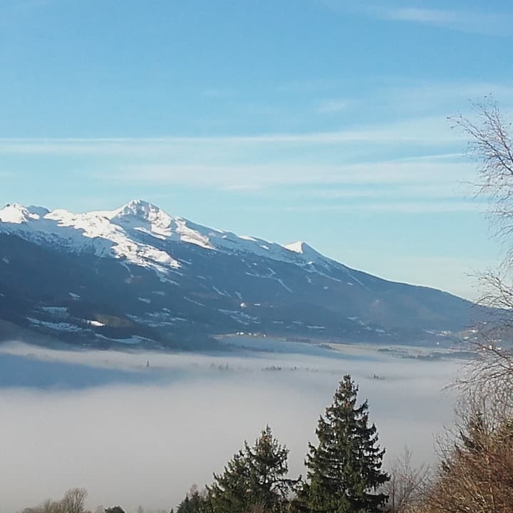 Vercors : Gite L'hysope , Belle Vue Et Forêt! - Autrans