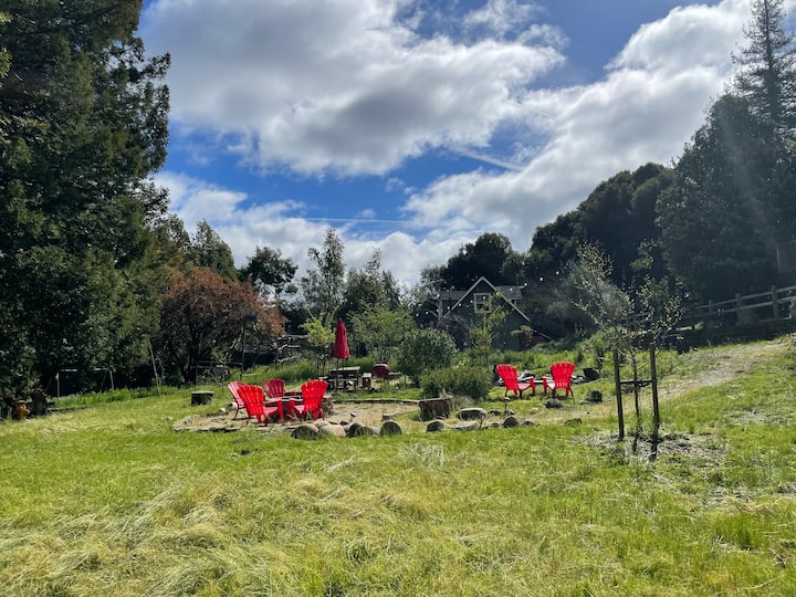 Gorgeous Property, Walk To Henry Cowell Park&town - Felton, CA