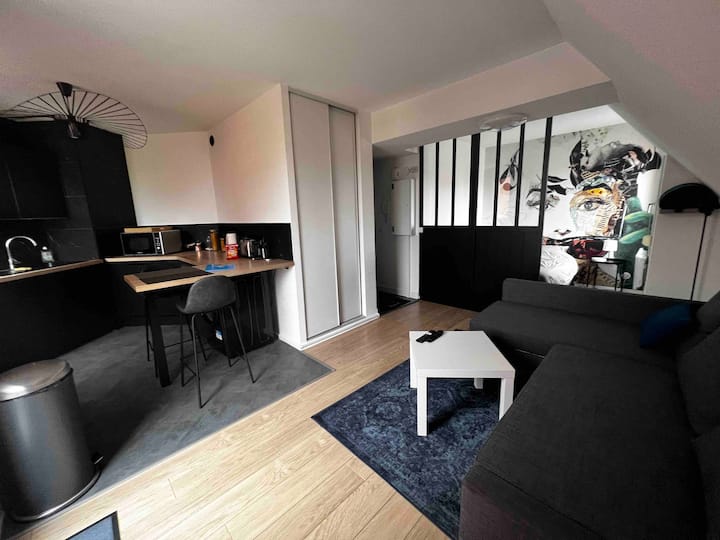 Strasbourg F1 Cosy,proche Parlement,balcon Parking - Strasburgo