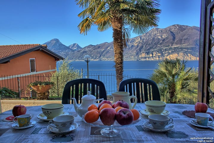 Apartment Terrazzo - Gardasee