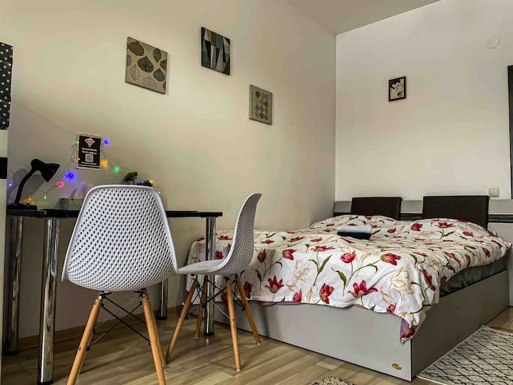 Central Studio Near Palas Mall - Valea Lupului