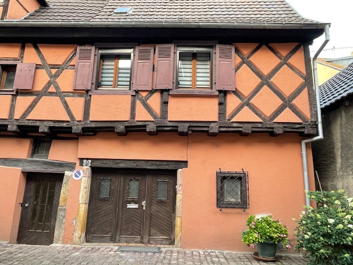 Le Gite De Thésée - Rouffach