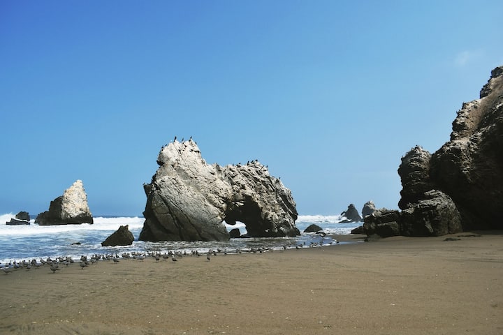 Playa Los Lobos Alquileres vacacionales y alojamientos - Cerro Azul ...