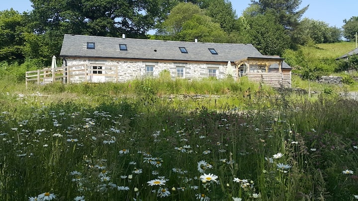 Snowdonia Boutique Glamping, Seren, Betws Y Coed - Snowdonia National Park
