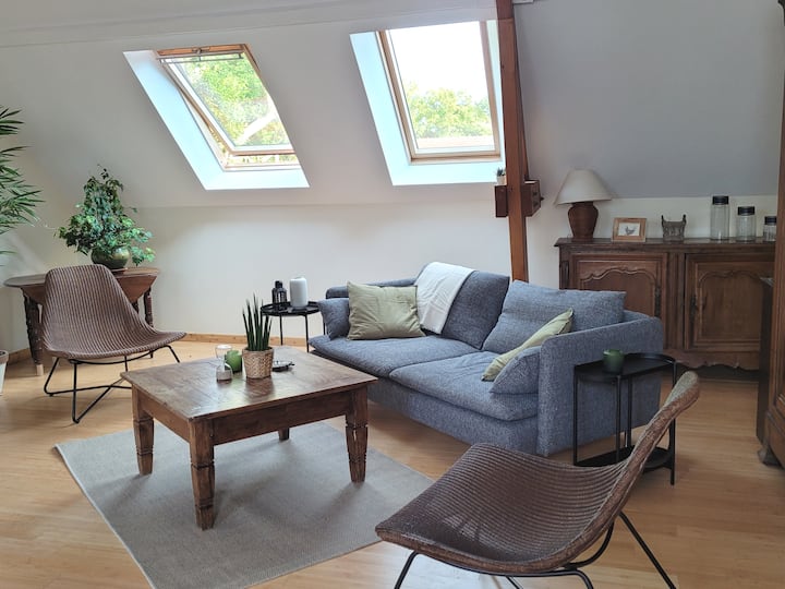 Les Hautes Bornes, Appartement Calme Et Spatieux. - Nemours