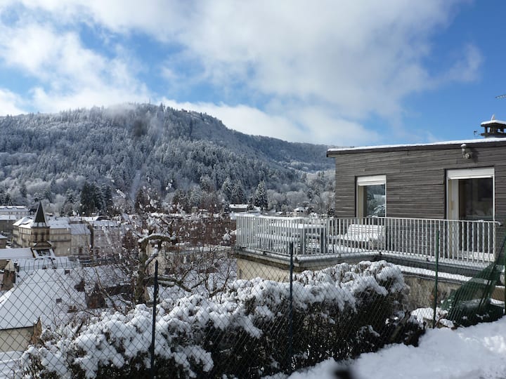 Gite Spacieux, Vue Panoramique, Expo Sud - La Bourboule