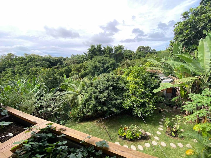 Ô Verger - Saint-Benoît