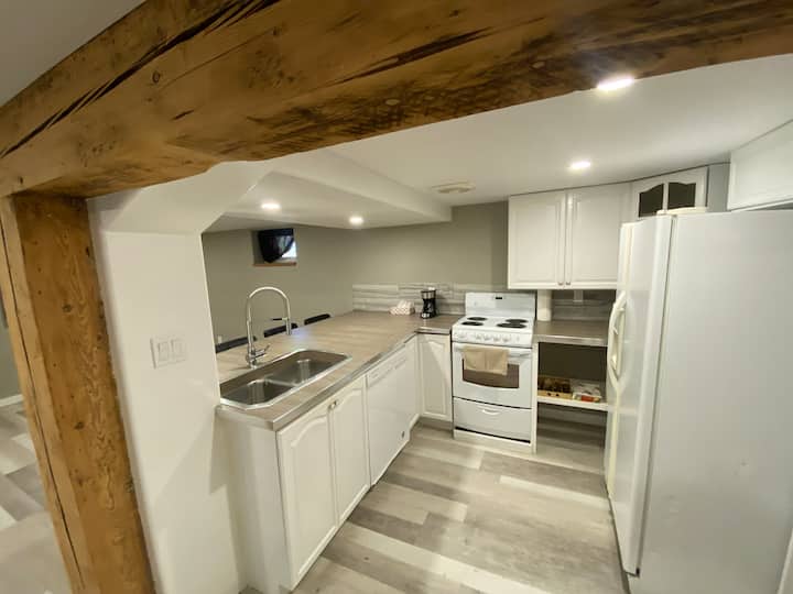 Jacuzzi Bath W Fireplace B Sweet,steps 2 Downtown. - Thunder Bay