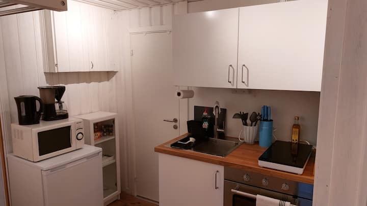 Ett Rum, Eget Kök Badrum Och Entré - Borlänge