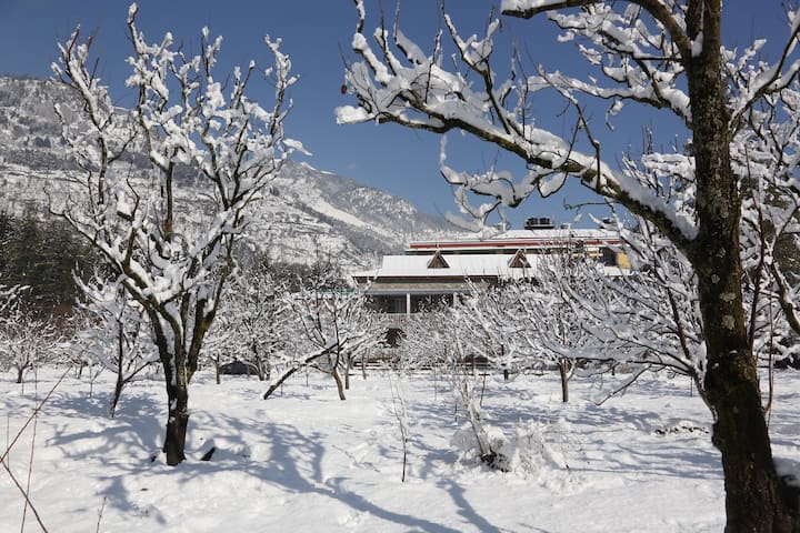 Diddicoys' Forest Home, Manali - Manali