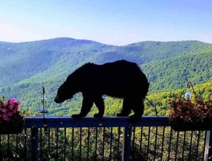 Blue Ridge Overlook, 4 Bedrooms 2 Baths Full Level - Jasper, GA