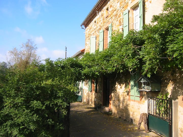 Maison Vacances Ancienne Ferme (12 Pers) - Piscine - Cordes-sur-Ciel