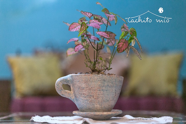 Cachito Mío". Linda Casa En Aguascalientes. - Aguascalientes