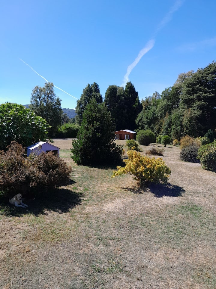Cabaña Rodeada De Bosque Nativo Del Sur De Chile - Puyehue