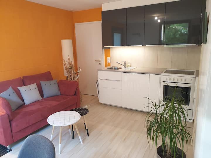 Studio Agréable Avec Accès Indépendant. - Yverdon-les-Bains