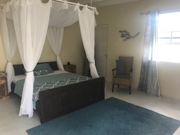 Flamingo Studio - Curaçao