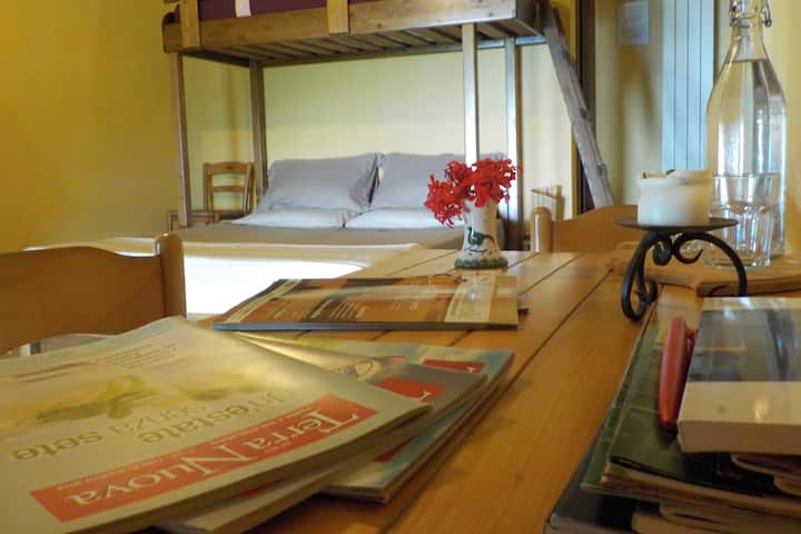 Exclusive Eco-b&b With Sea View In Cilento - Sapri