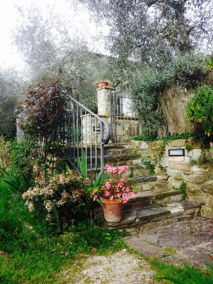Charming House In Florence, Iris - Florence