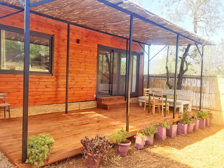 Kayaköy Teta Tiny House - Kayaköy