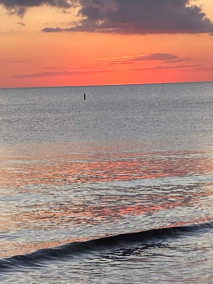 Salt Water & Sunsets! 1/1 Beach Across The Street! - Redington Beach, FL