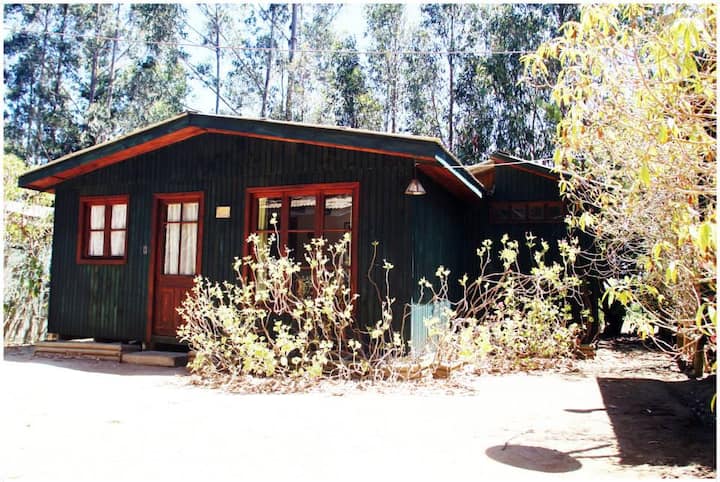 Isla Negra Románticas Cabaña Para Dos - El Tabo