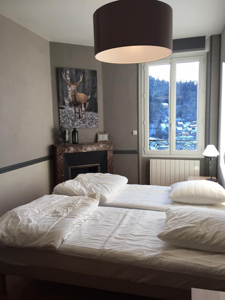 Appartement Martelli - Puy de Sancy
