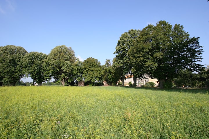 Cabane De Berger - Arles
