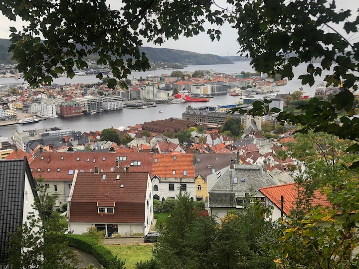 Family House With Garden In The City, Near Fløyen. - 卑爾根