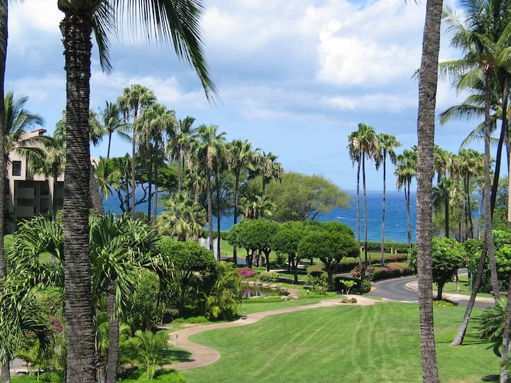 Kamaole Sands #2-303 Ov 1br/2ba Condo W/lg Lanai - マウイ島, HI